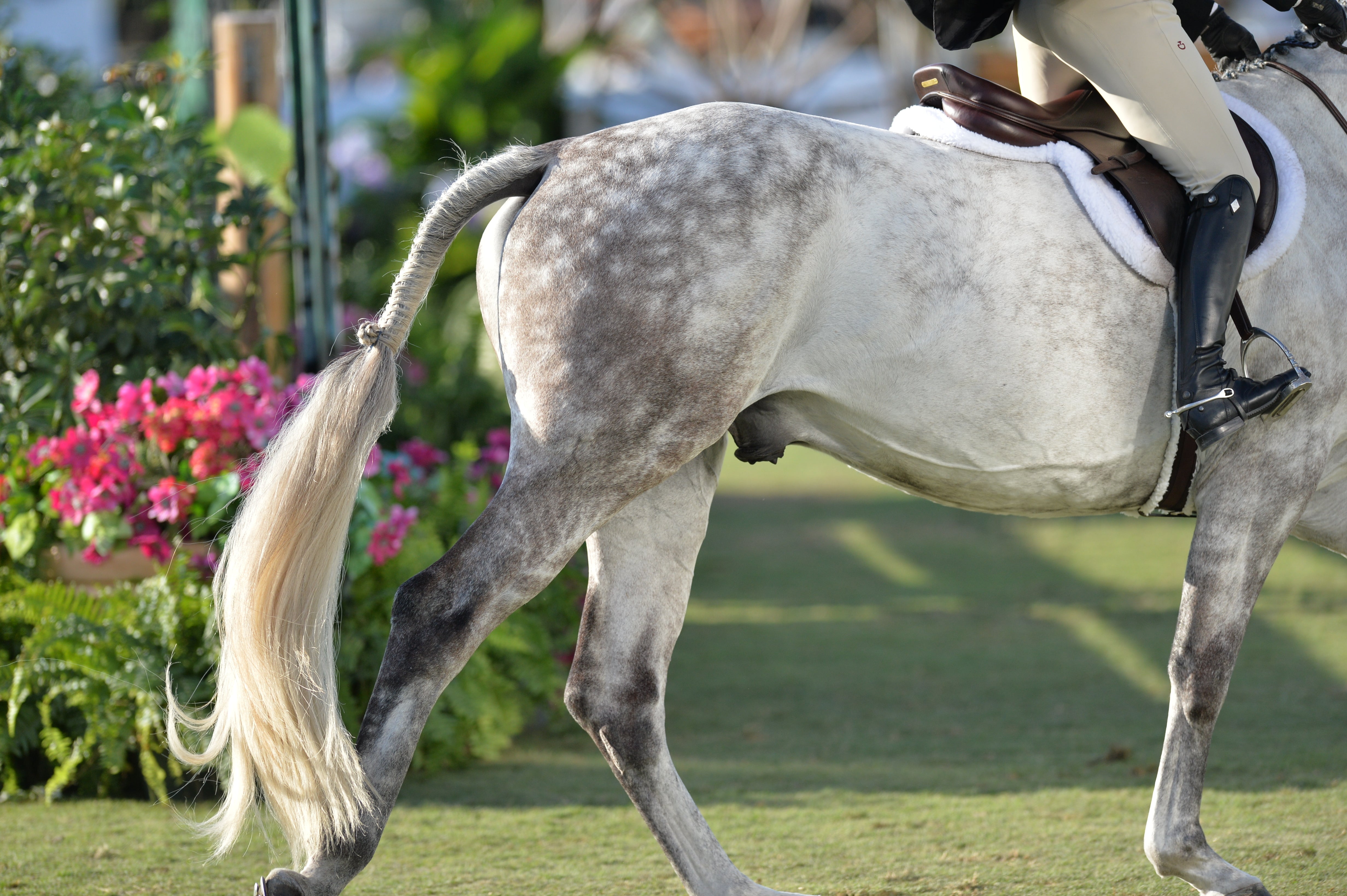 Setting the Record Straight: Archie Cox on Fitness for Hunters – NOËLLE ...