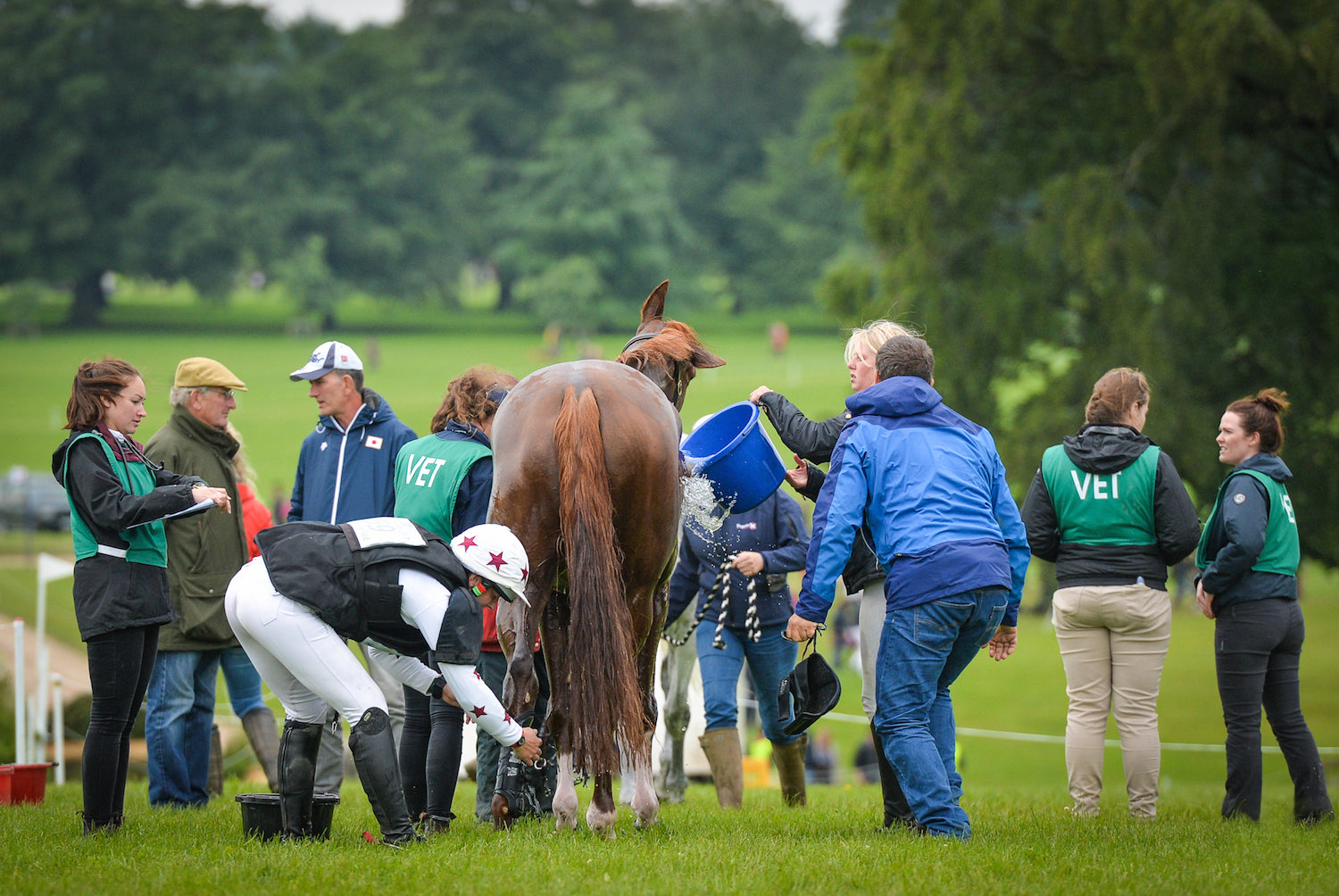 Take It From the Eventers: How to Manage Your Horse Before, During, an ...