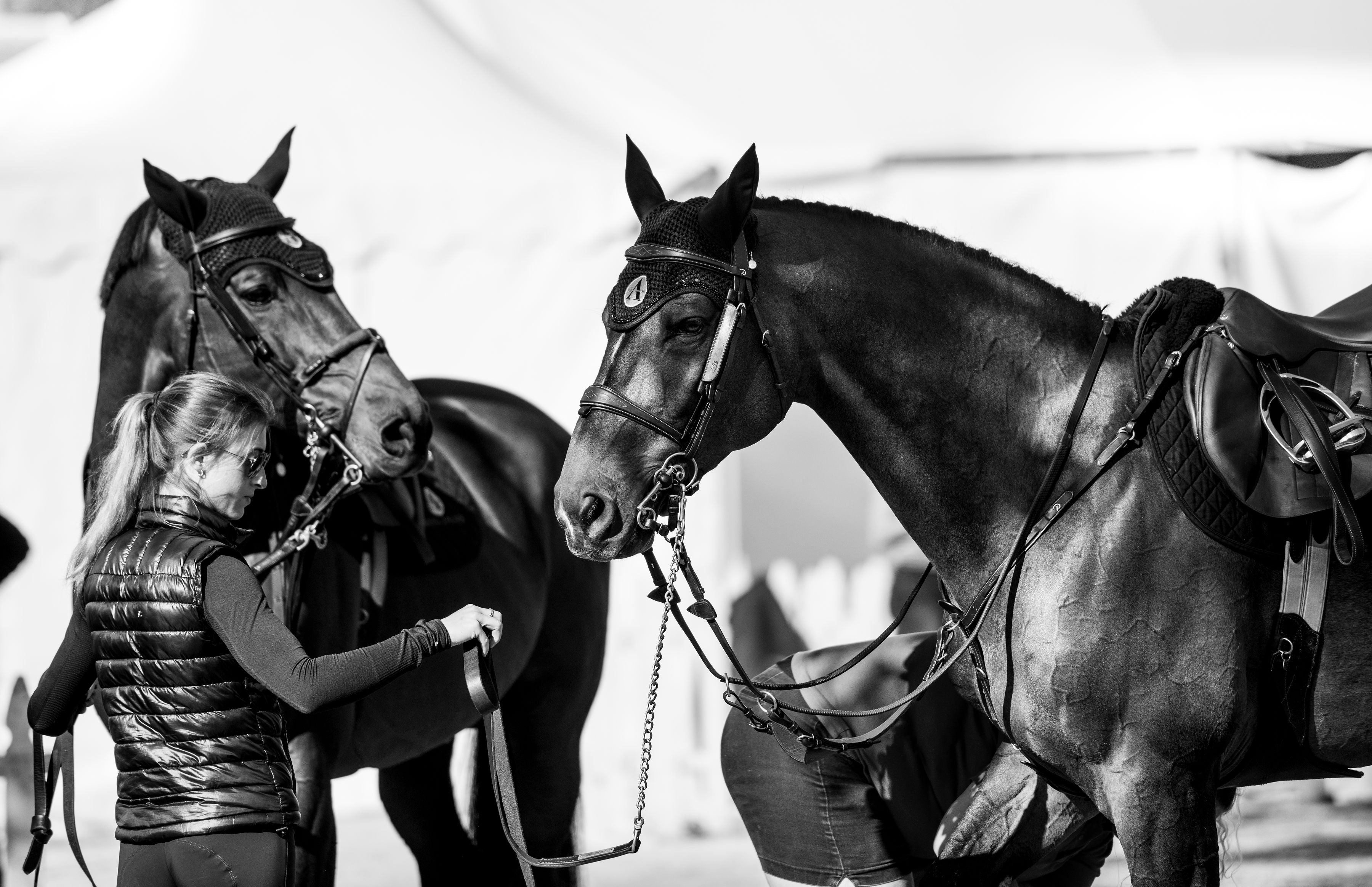 Weird Tack, Explained: As Seen on Today's Top Show Jumpers – NOËLLE FLOYD