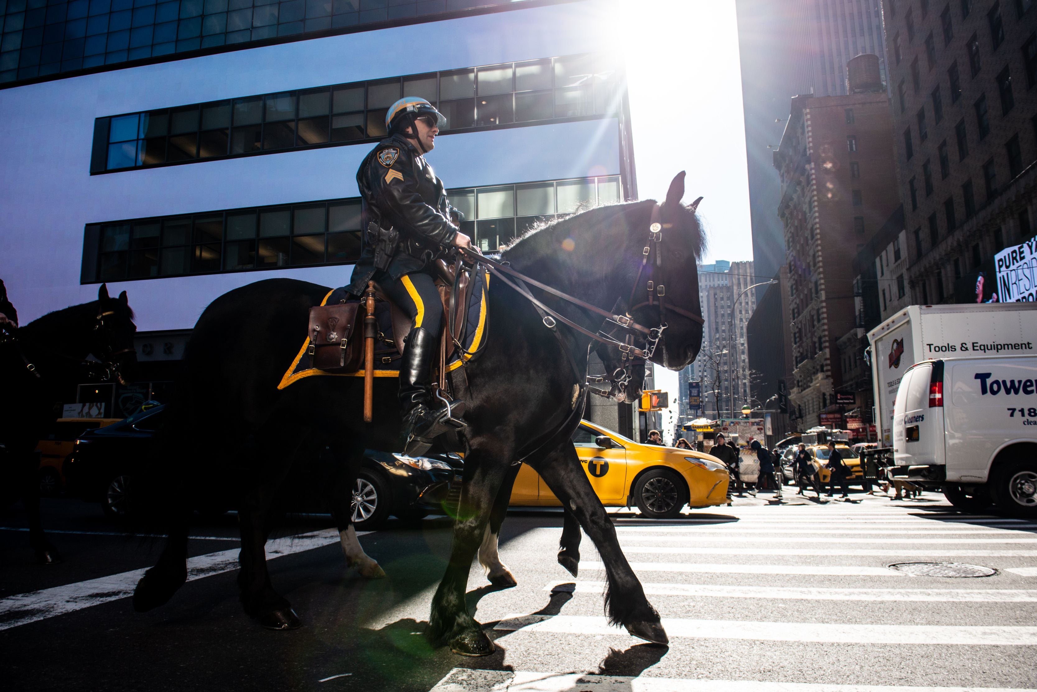 'Ten Foot Cops': A Glimpse Inside New York City's Mounted Police Unit ...