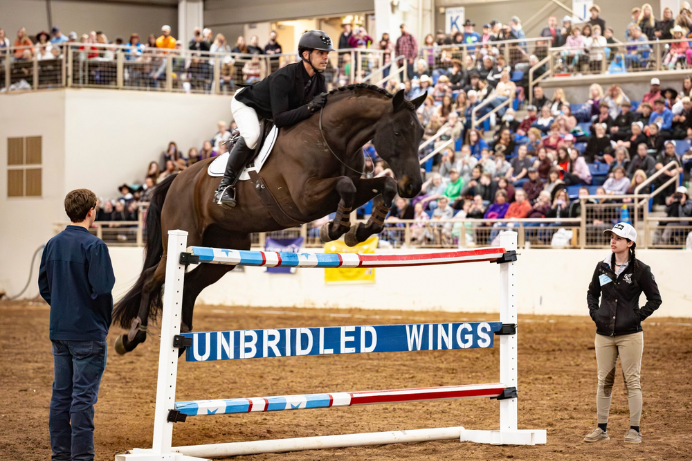 What’s the Point of Riding Bridleless? A Q&A with Brendan Wise – NOËLLE ...